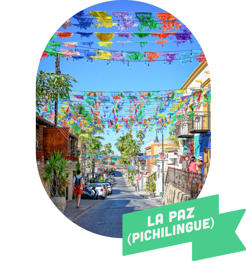 2026 Overview | JoCo Cruise